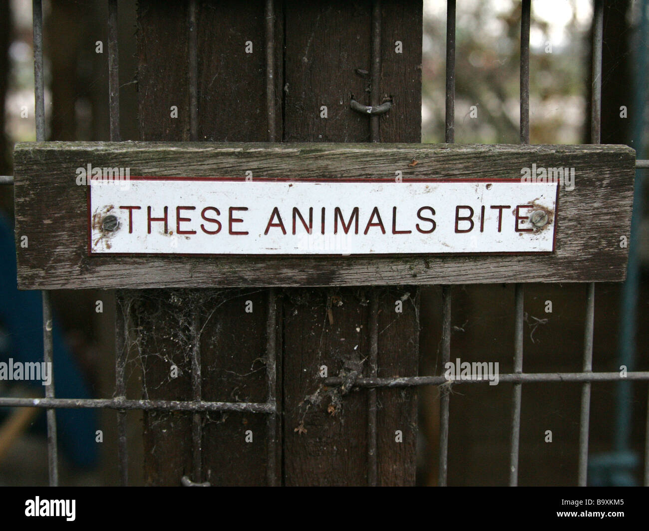 Dangerous animals sign hi-res stock photography and images - Alamy