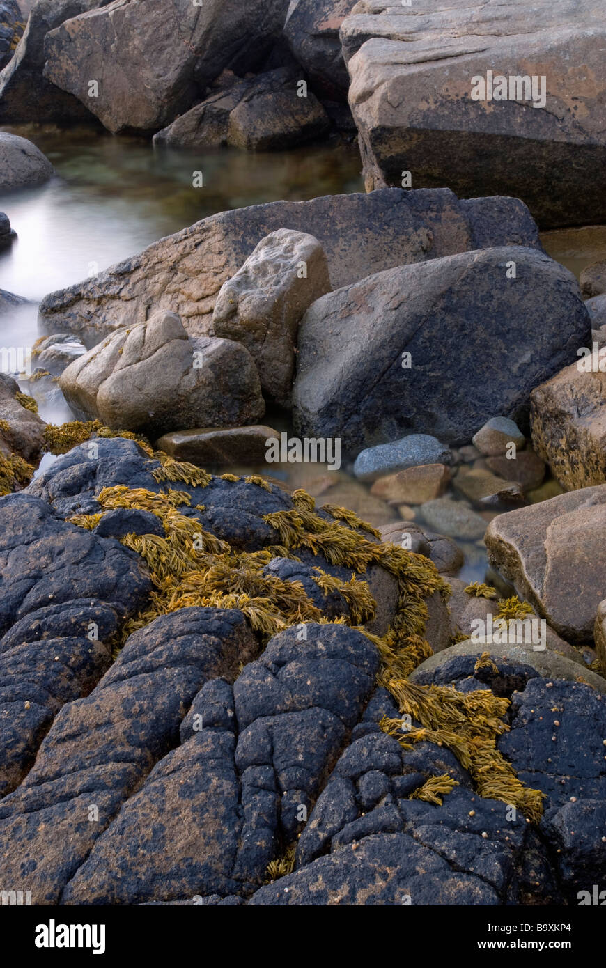 Rocks and sea surrounding Guernsey's Coast, Channel Islands Stock Photo ...