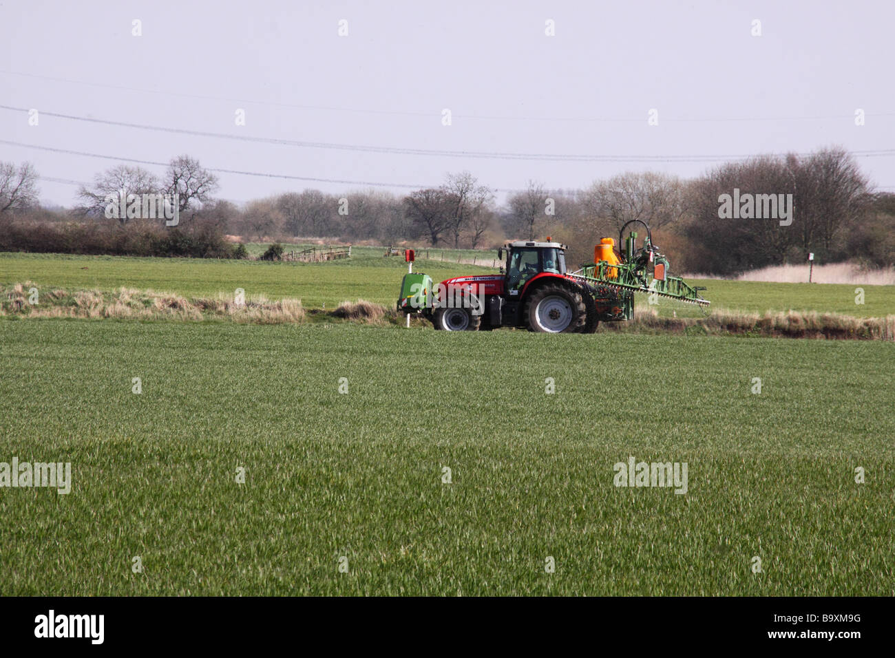 Crop pests hi-res stock photography and images - Alamy