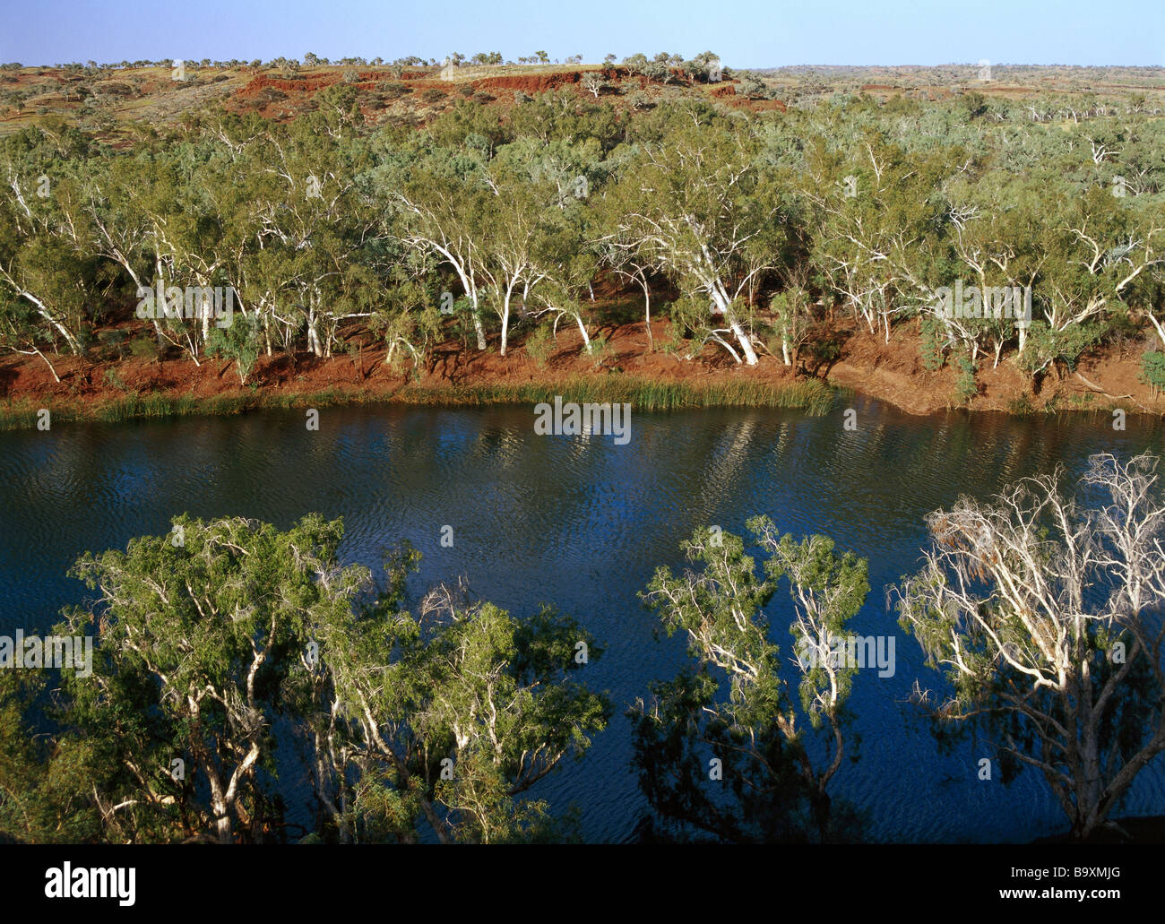 Millstream chichester national park hi-res stock photography and images ...
