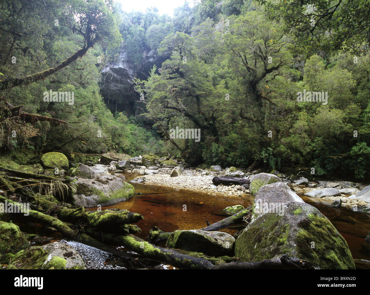 Kuhurangi national park hi-res stock photography and images - Alamy
