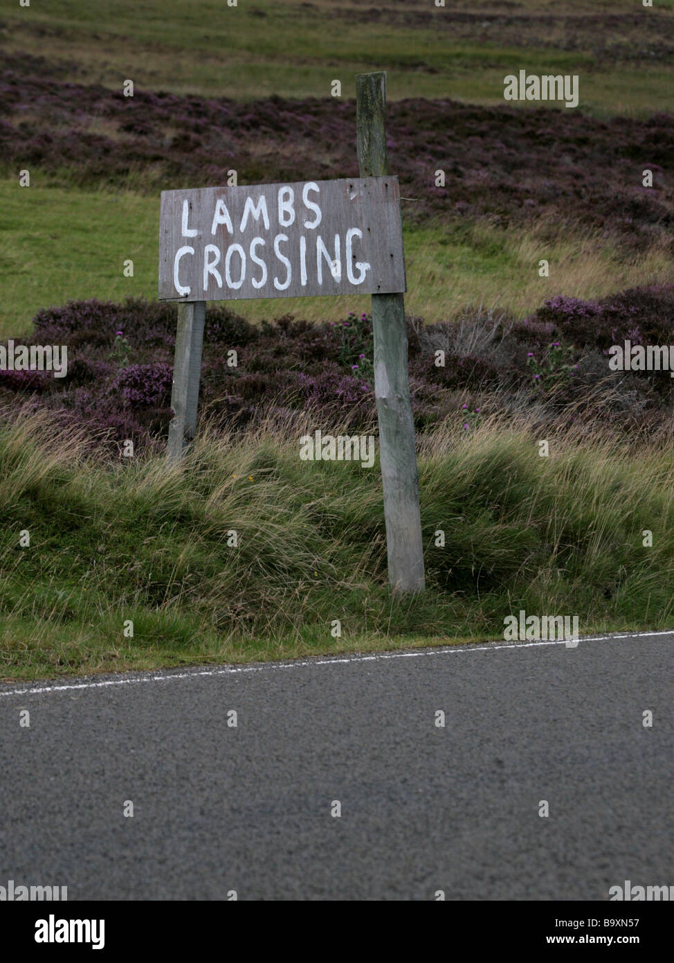 Sheep crossing sign hi-res stock photography and images - Alamy