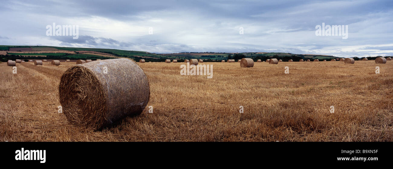 Hay drying in summer hi-res stock photography and images - Alamy