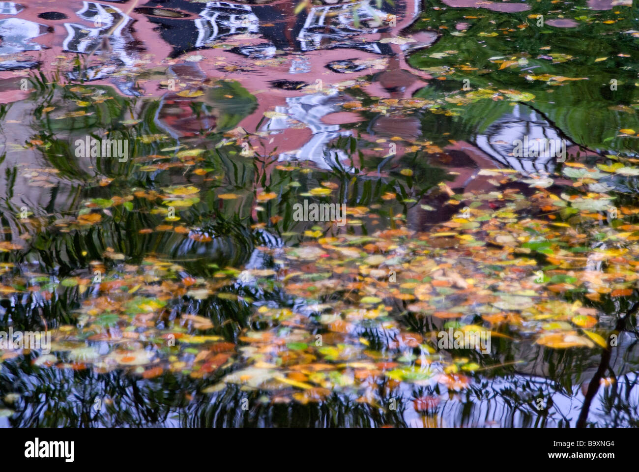 Reflections in river, England Stock Photo - Alamy