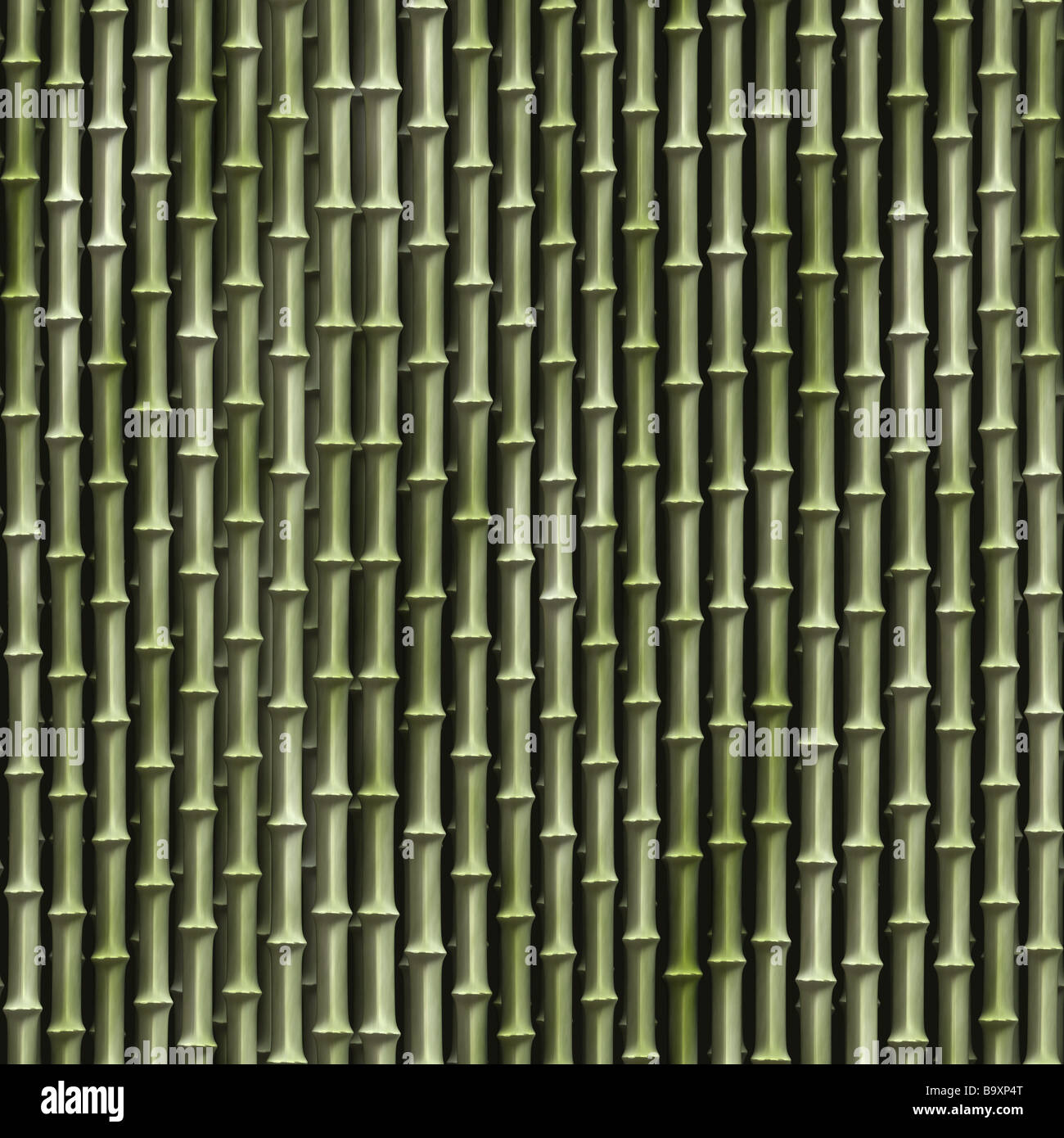 Rendered illustration of bamboo plant stems vegetation Stock Photo - Alamy