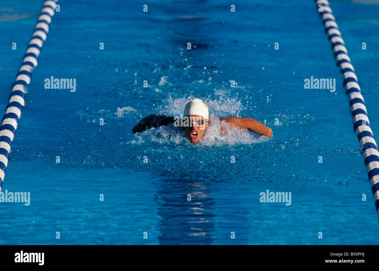 Male swimmer competing in a butterfly race Stock Photo - Alamy