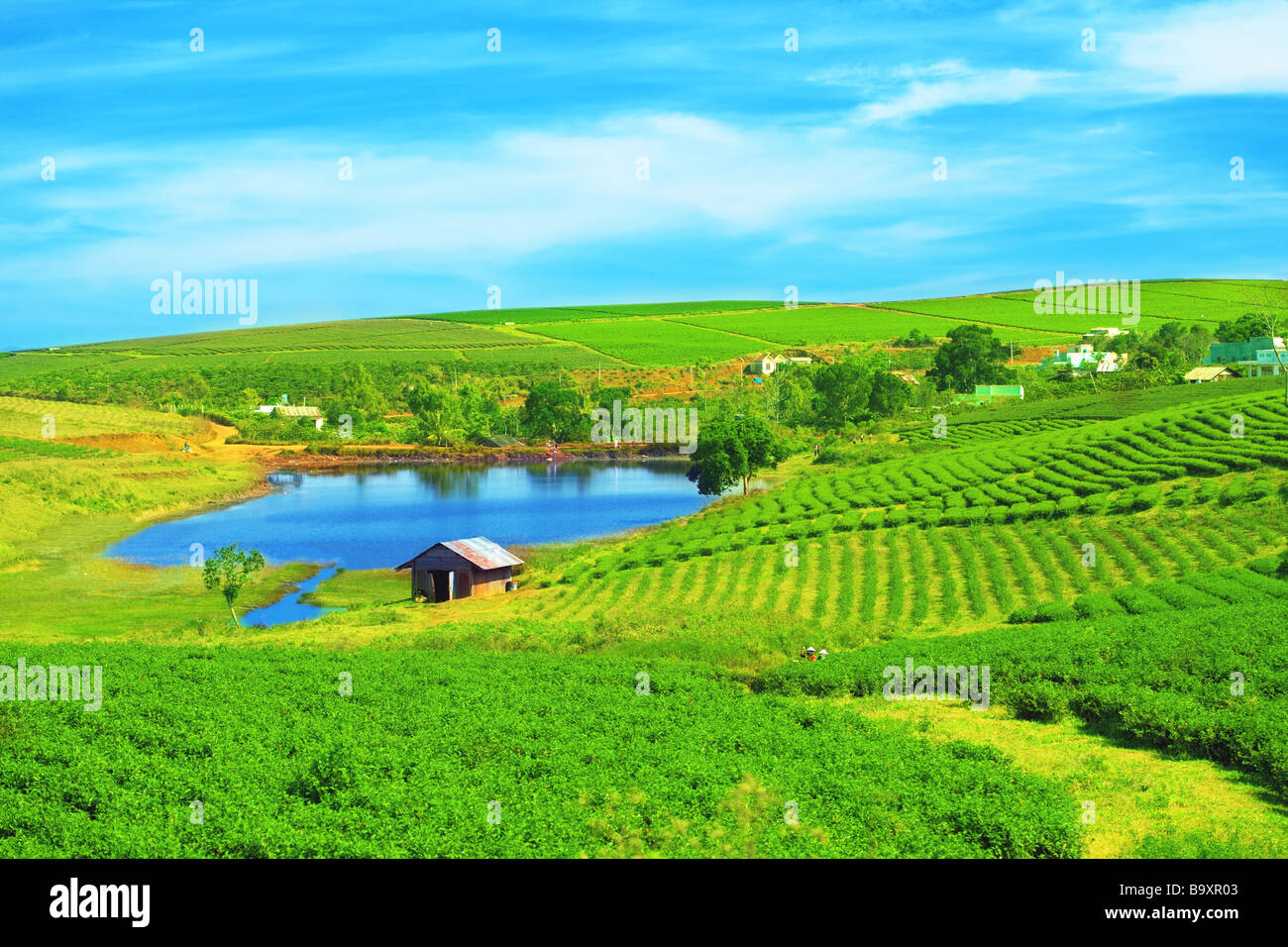 Central highlands vietnam hi-res stock photography and images - Alamy