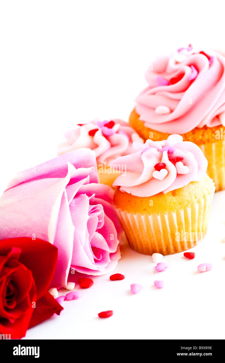 Sugar pink roses hi-res stock photography and images - Alamy