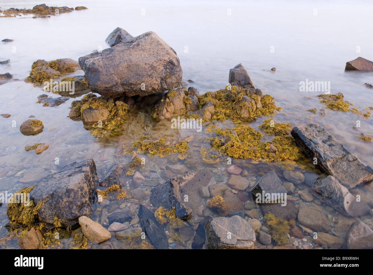Rocks and sea surrounding Guernsey's Coast, Channel Islands Stock Photo ...