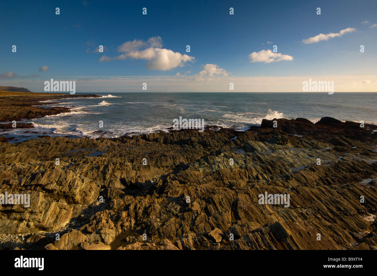 Coastline at Prawle Point Devon UK Stock Photo - Alamy