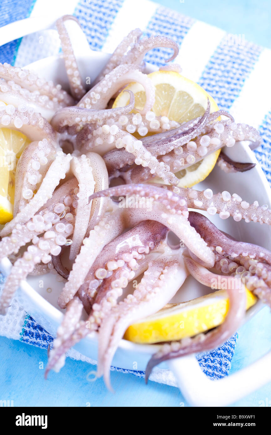 White uncooked calamari hi-res stock photography and images - Alamy