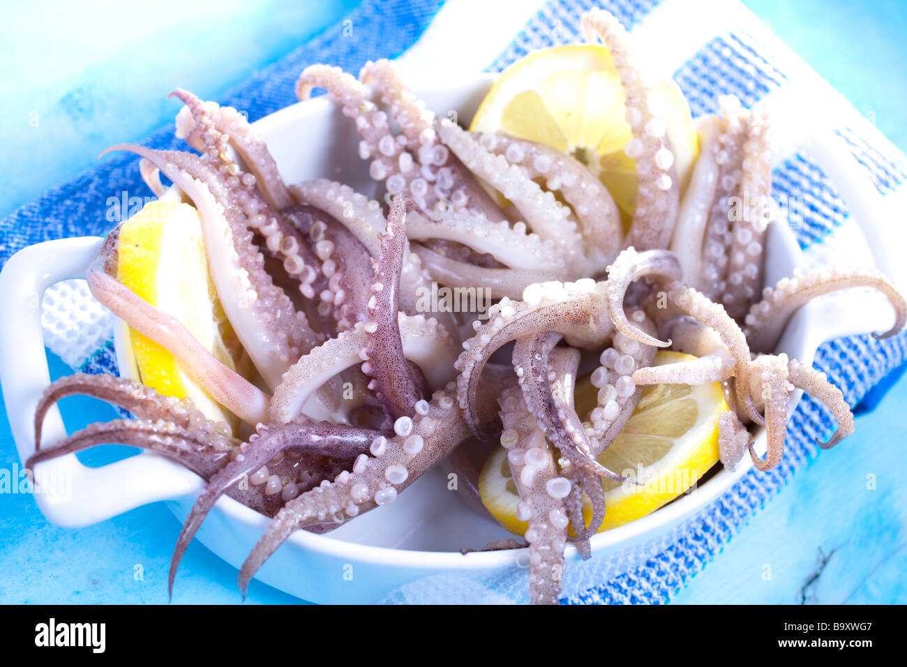 Fresh uncooked squid heads in white terrine Stock Photo - Alamy