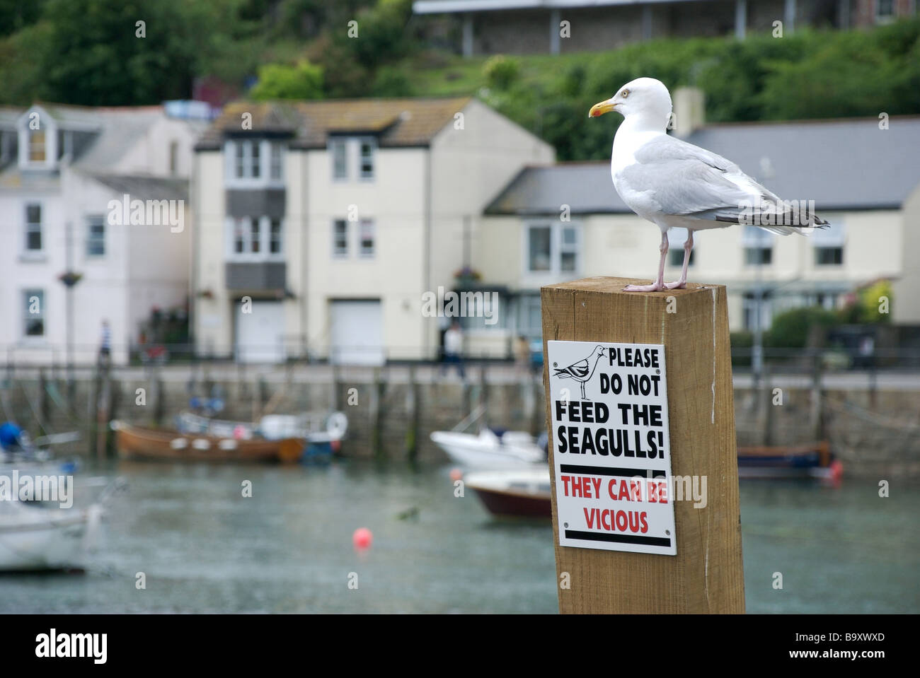 Warning Notice Nuisance High Resolution Stock Photography and Images ...