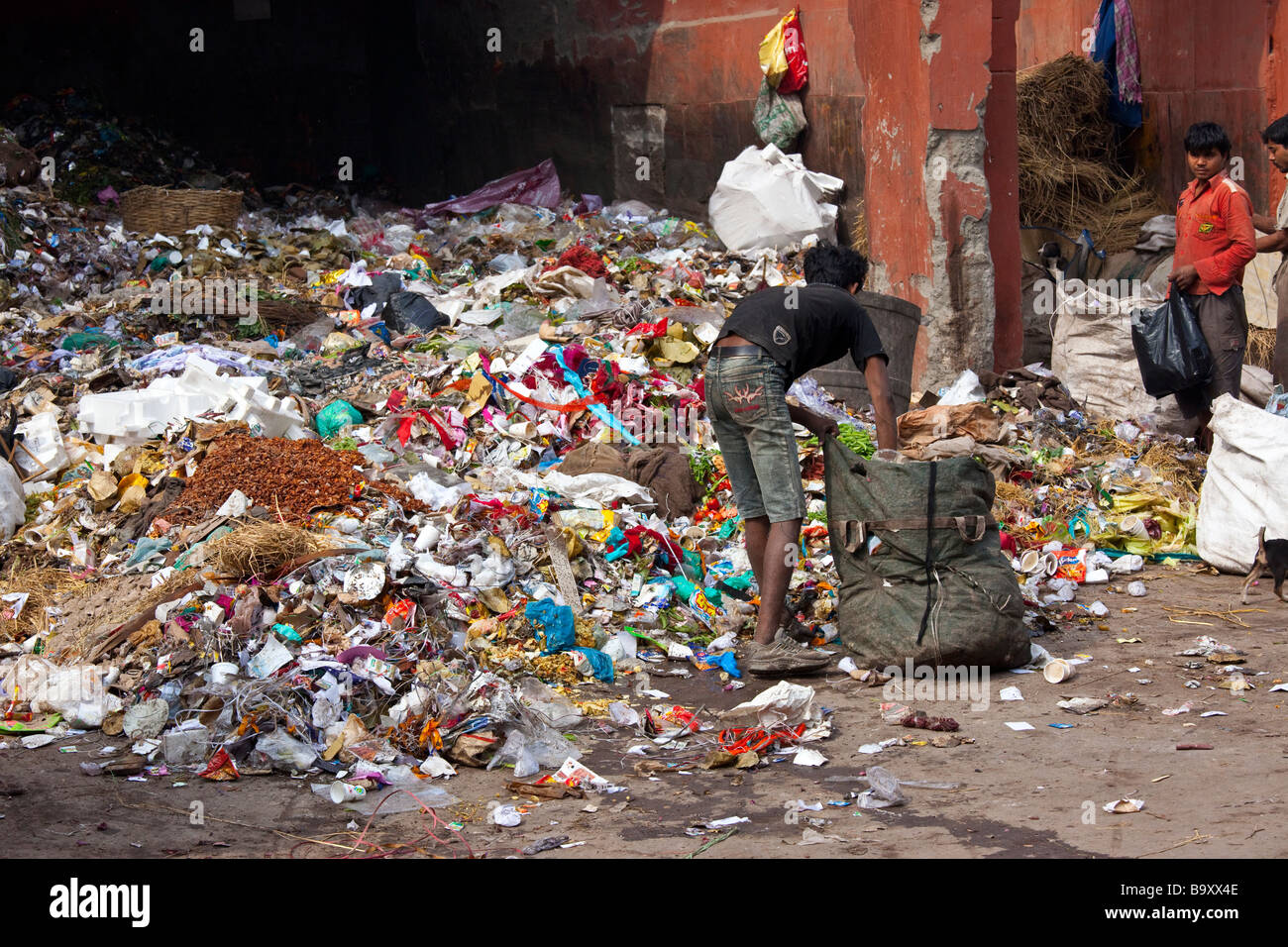 Boy Picking Scraps from a Garbage Heap in Delhi India Stock Photo - Alamy
