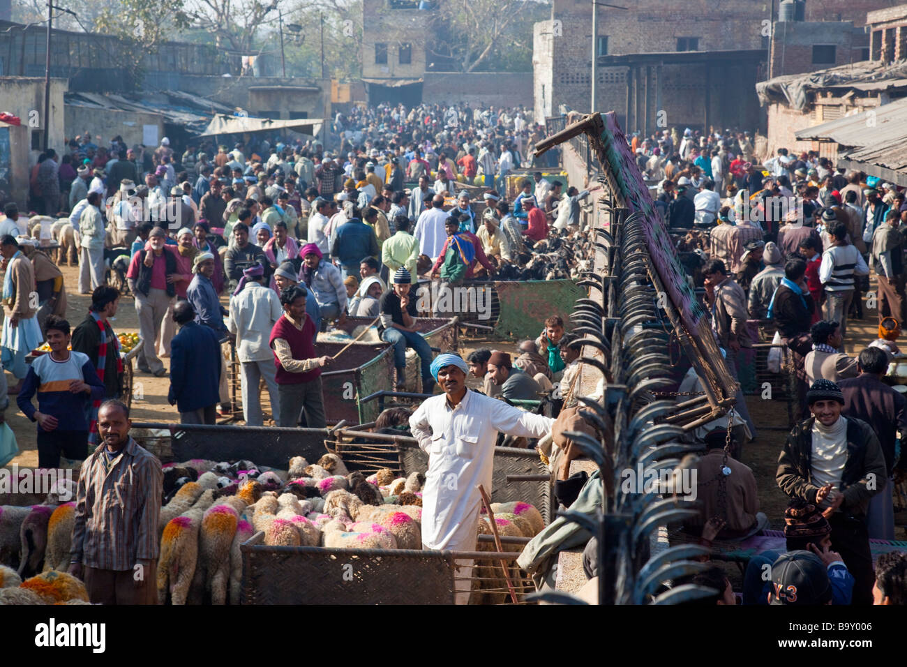 Indian meat market hi-res stock photography and images - Alamy