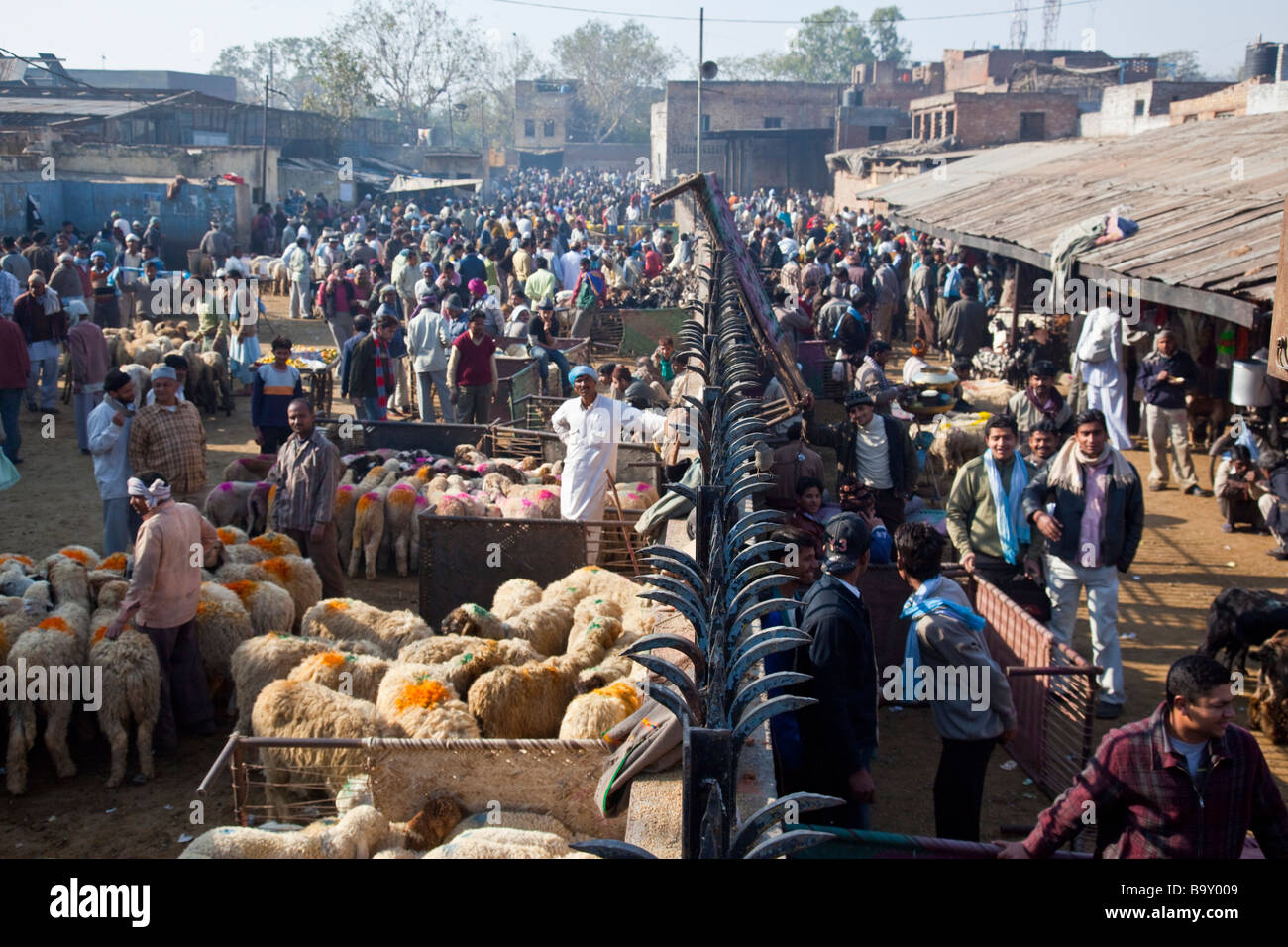 Meat india hi-res stock photography and images - Alamy