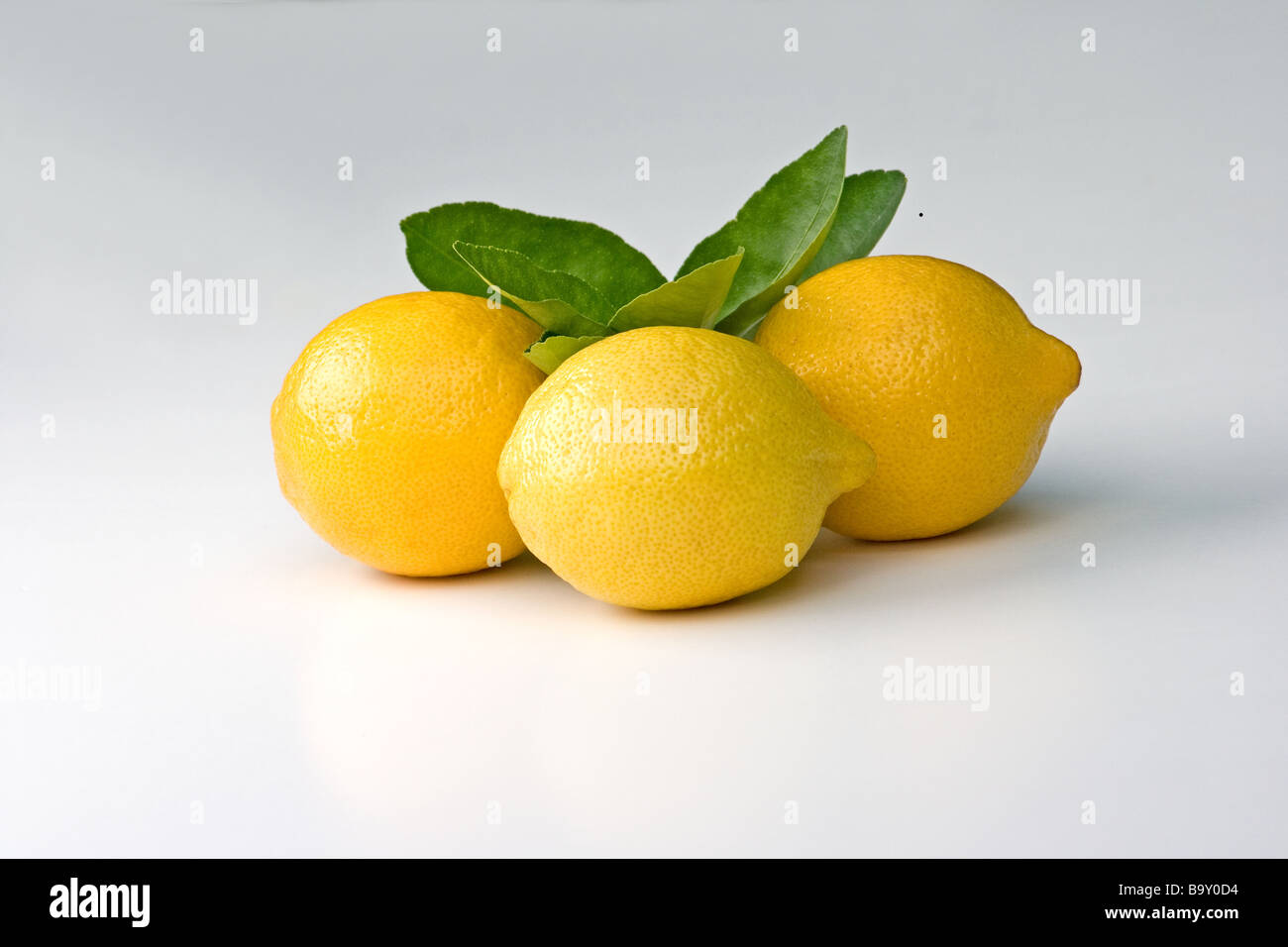 Lemon fresh fruit leaves hi-res stock photography and images - Alamy