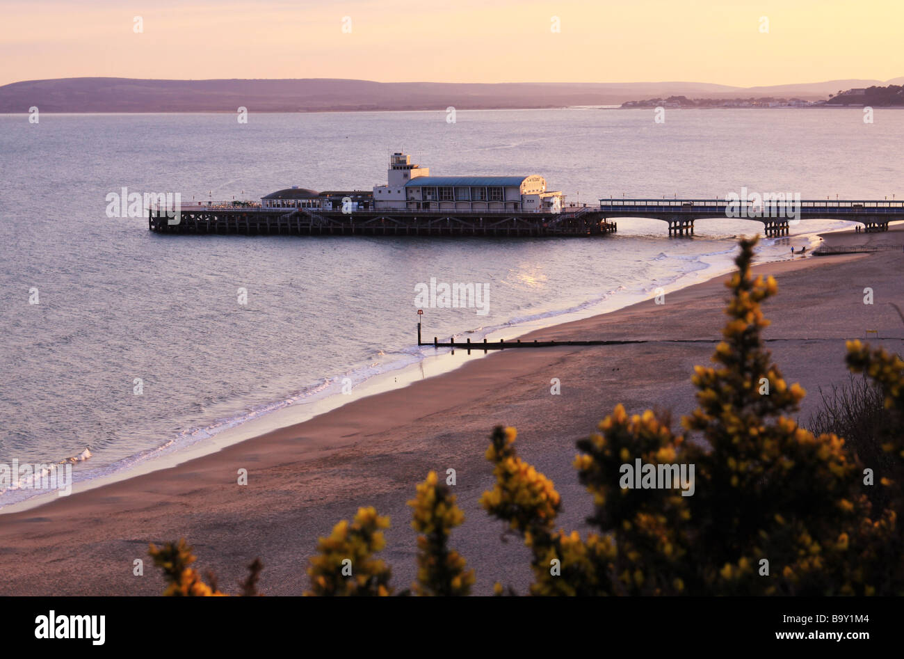 Bournemouth Pier at sunset from the cliff side through bramble bushes ...