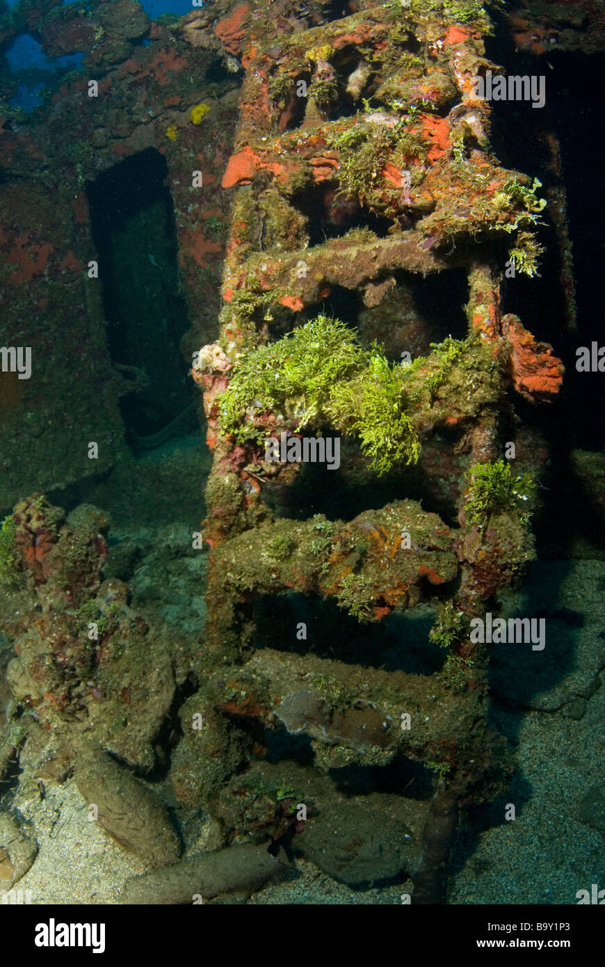 Ladder on the deck of the Unkai Maru in Truk Lagoon Micronesia Stock ...