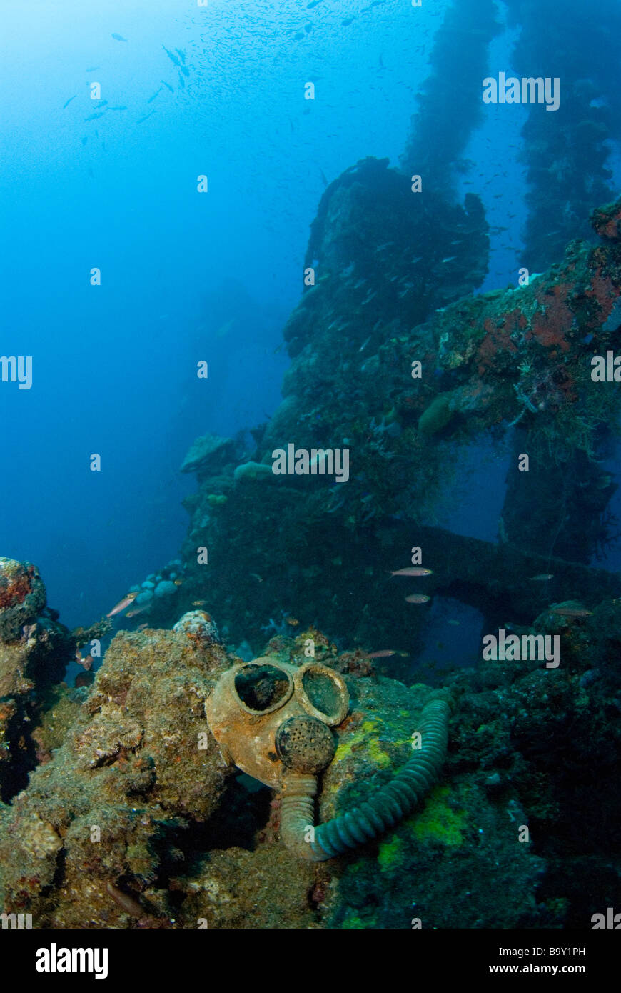 Gas mask laying on the deck of the Nippo Maru wreck in Truk Lagoon ...