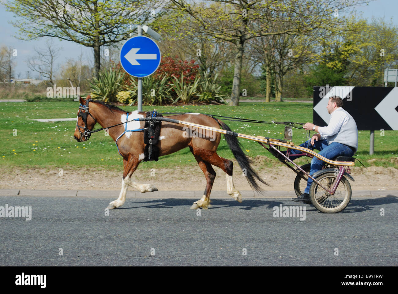 Person driving a chariot Stock Photo - Alamy