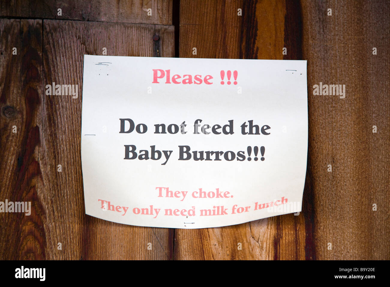 Baby Burro High Resolution Stock Photography and Images - Alamy