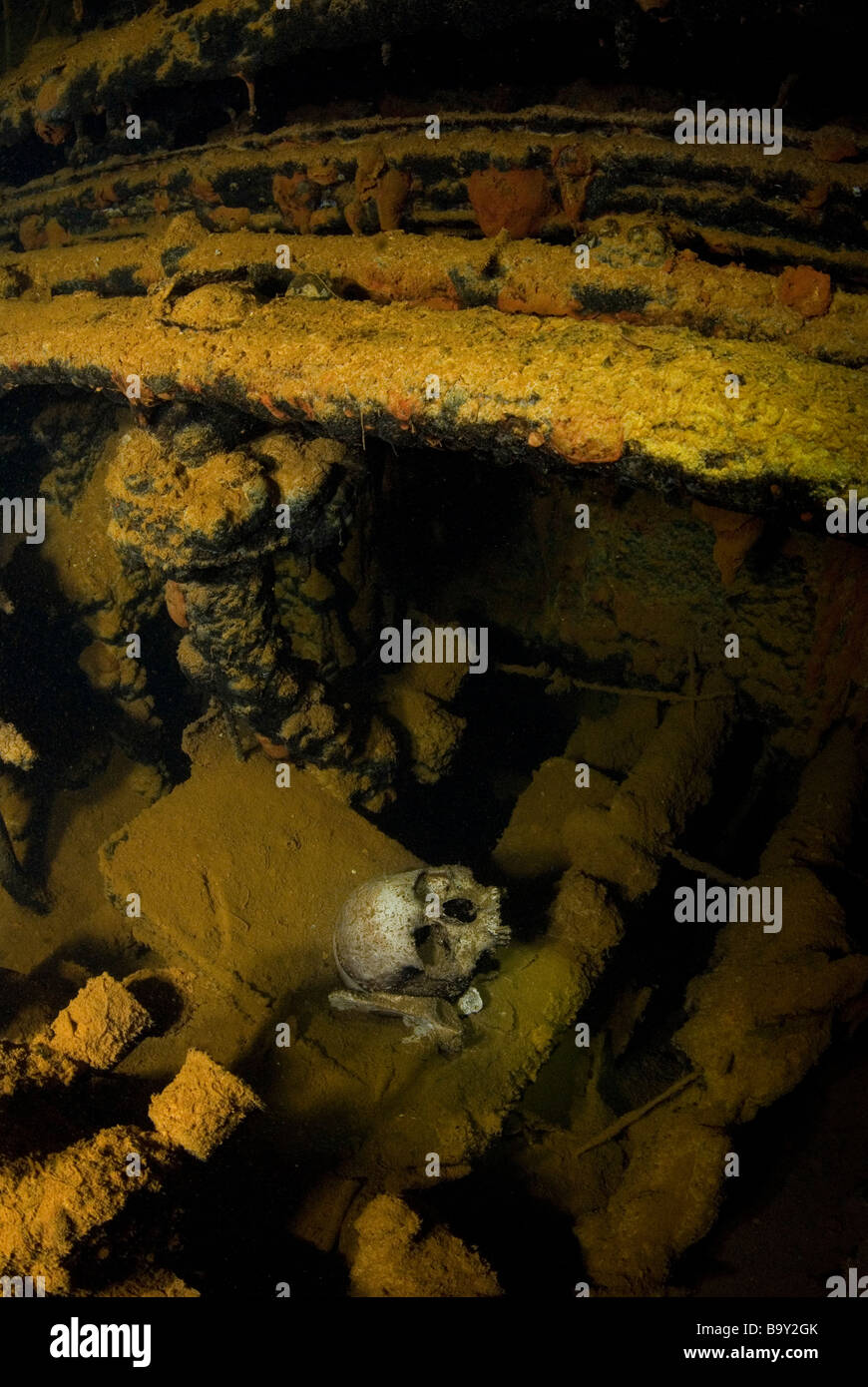 Human Remains Found In Shipwrecks