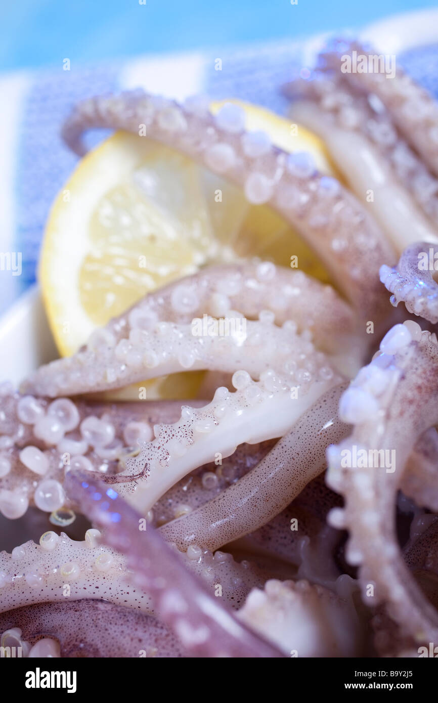 Close up on the tentacles of squid heads Stock Photo - Alamy