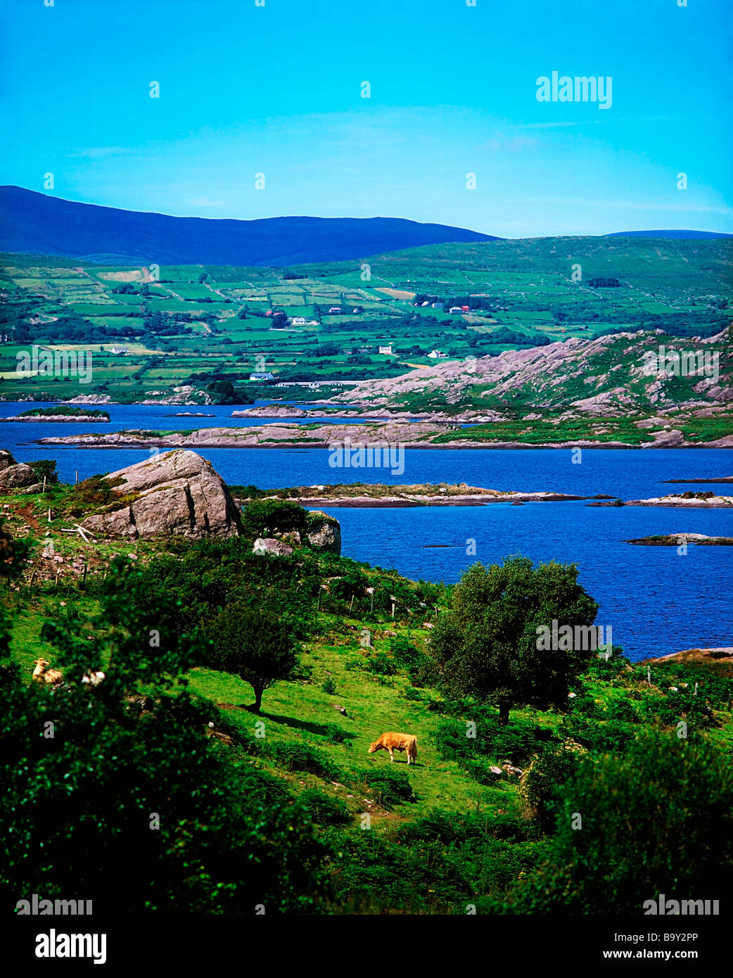 Lough Currane, Ring of Kerry, County Kerry, Ireland Stock Photo - Alamy