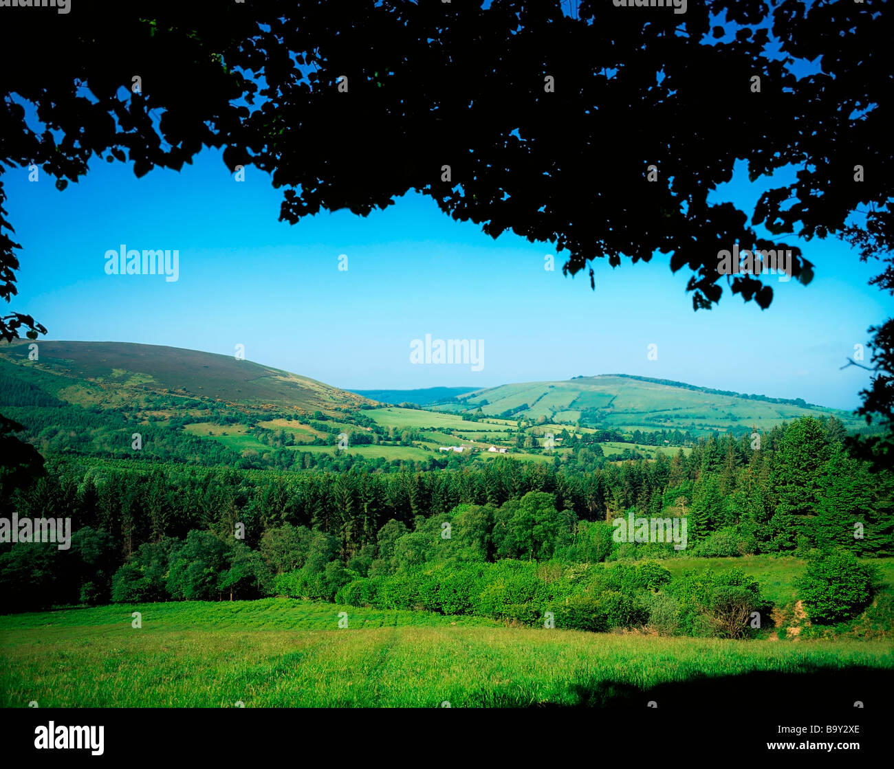 Co Offaly near Kinnity, Slieve Bloom Mountains, Ireland Stock Photo - Alamy