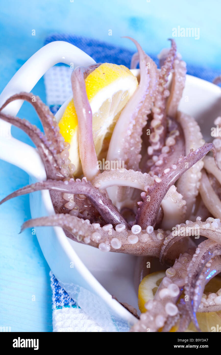 Fresh uncooked squid heads in white terrine Stock Photo - Alamy