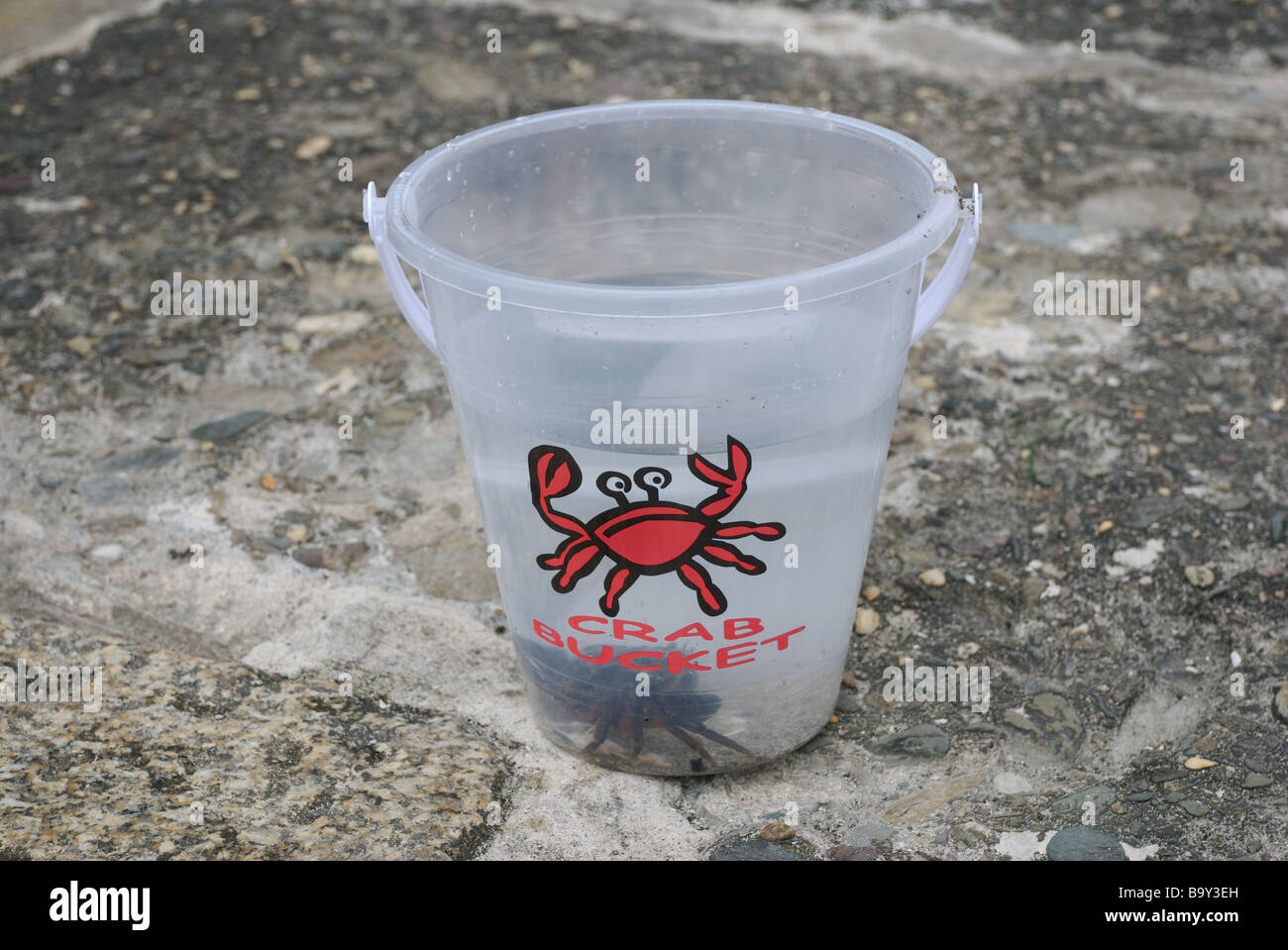 Catch color colour crab hi-res stock photography and images - Alamy