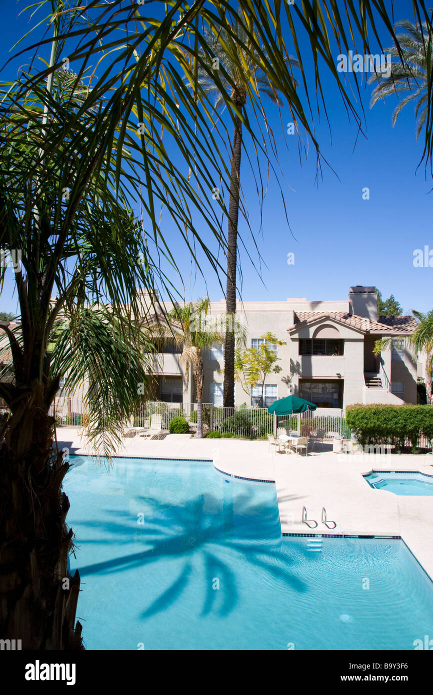Swimming pool palm trees and condos Phoenix Arizona USA Stock Photo - Alamy