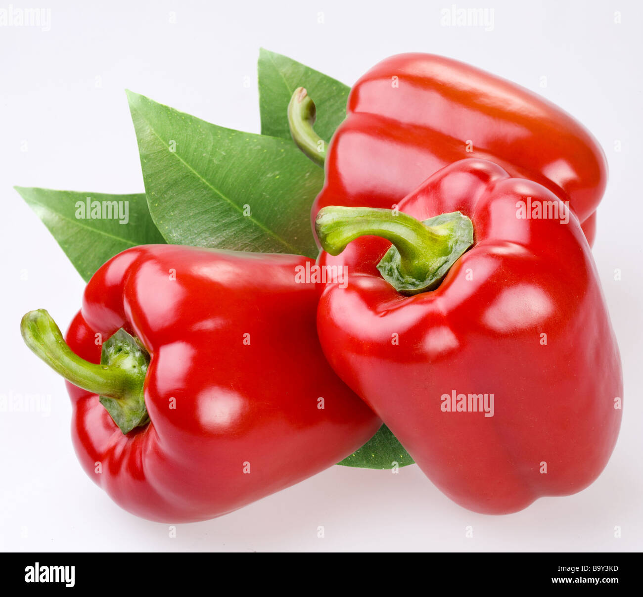 Paprika is on a white background Stock Photo - Alamy