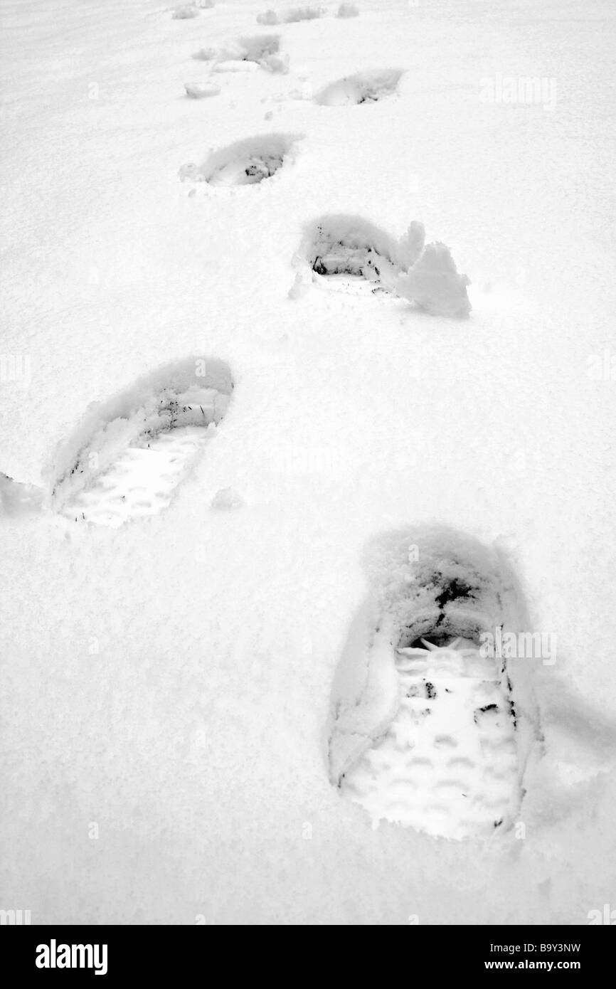 Fresh fallen Black and White Stock Photos & Images - Alamy