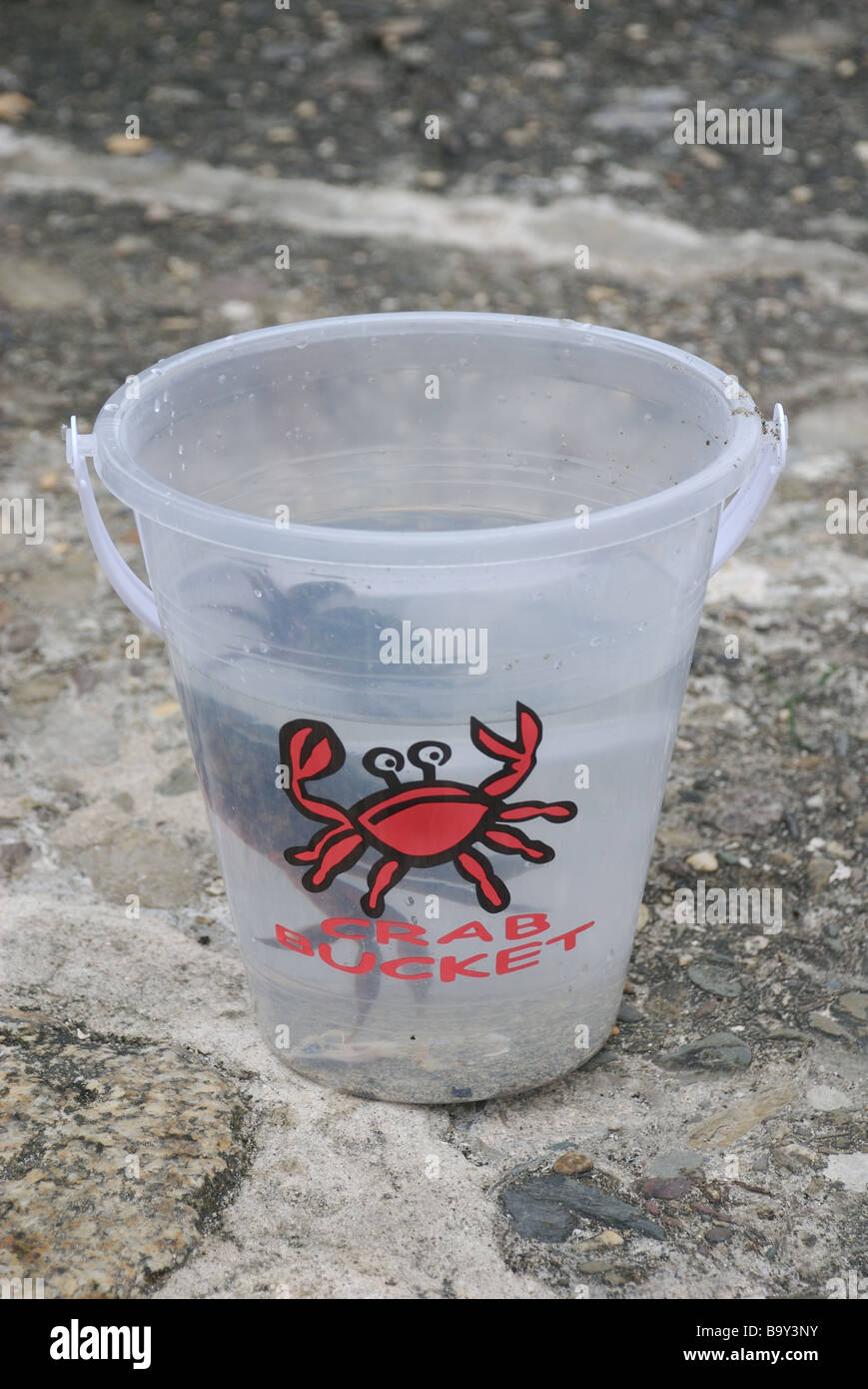 Crab bucket with resident crab, Looe, Cornwall, UK Stock Photo - Alamy