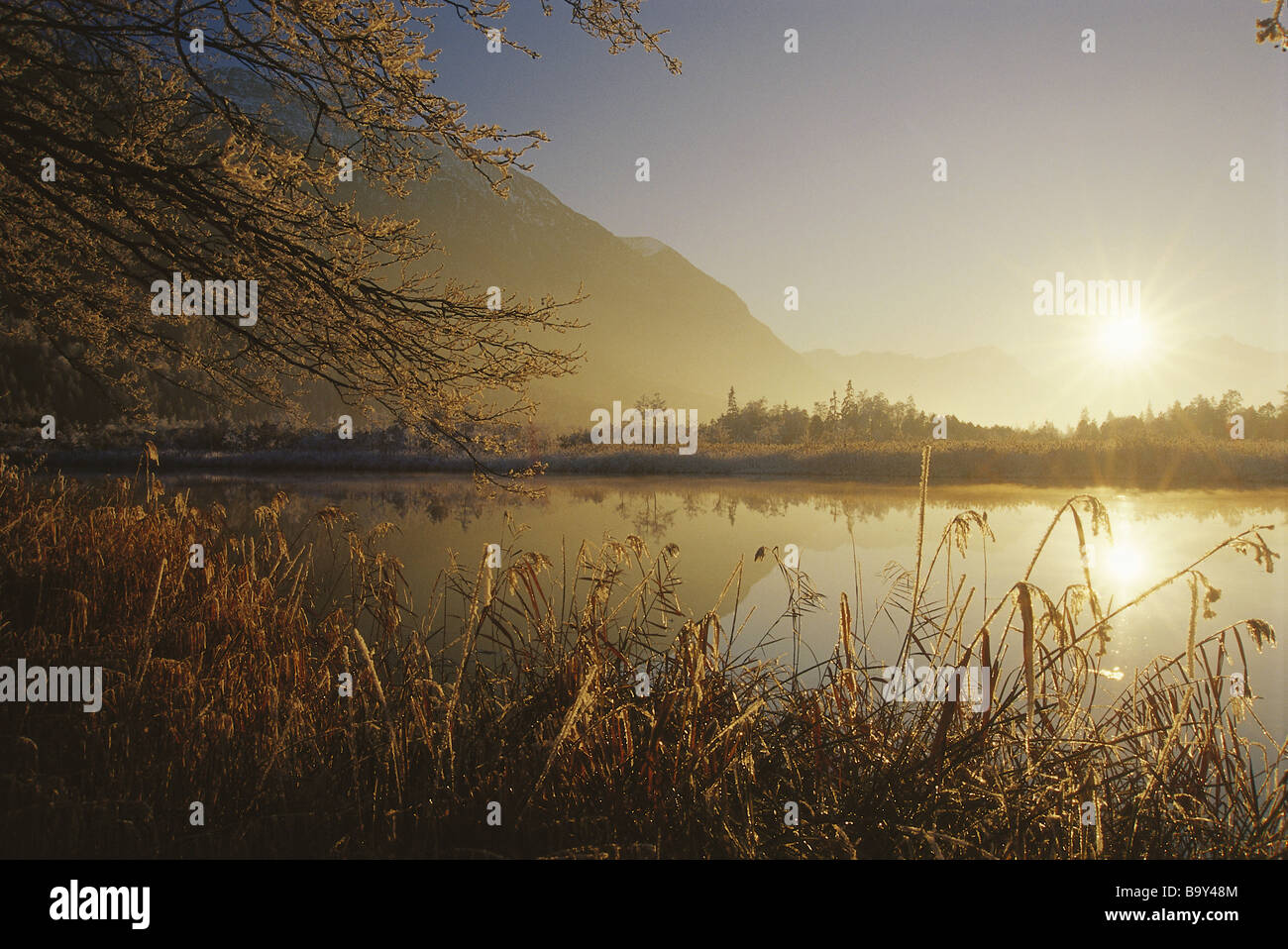 Sifting ash hi-res stock photography and images - Alamy