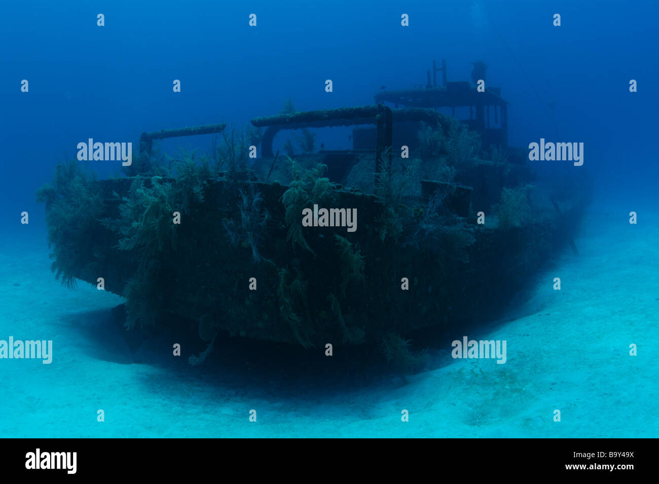 Wreck in the big blue Stock Photo - Alamy