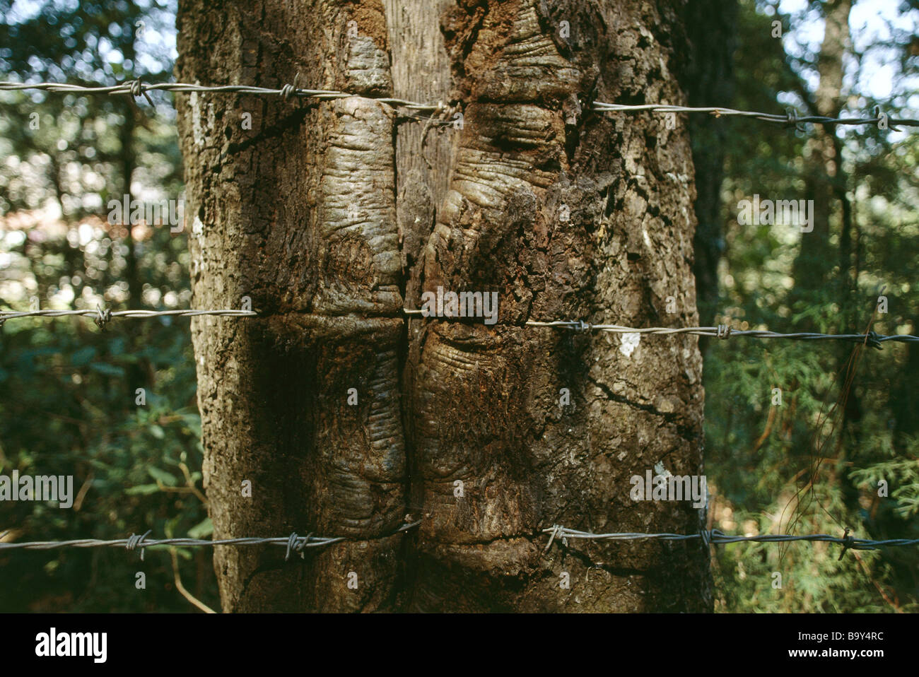 Foreign object damage hi-res stock photography and images - Alamy