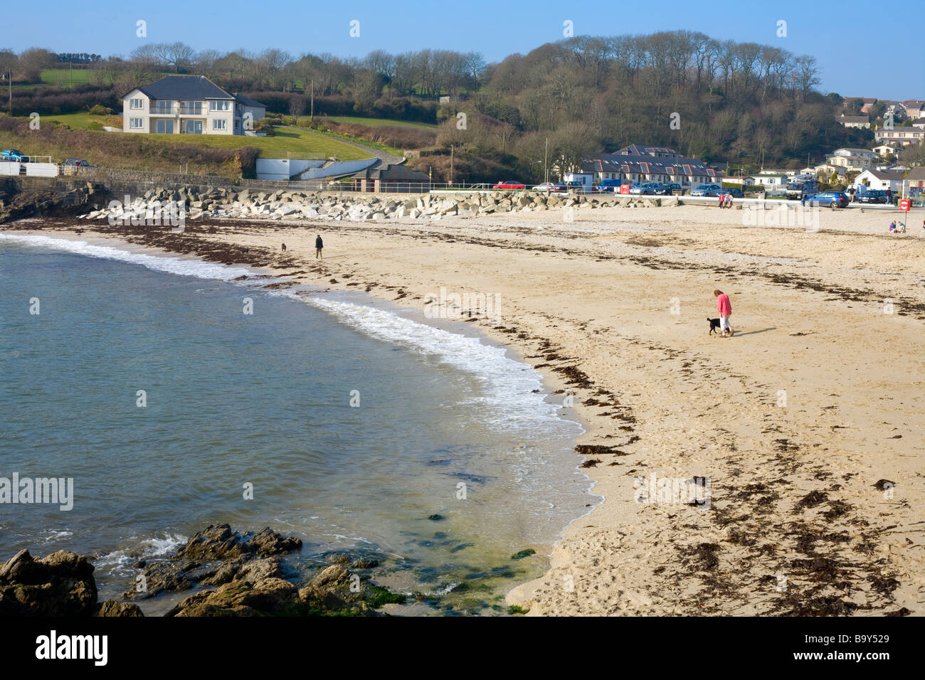 Swanpool Beach in Falmouth Cornwall UK Stock Photo - Alamy