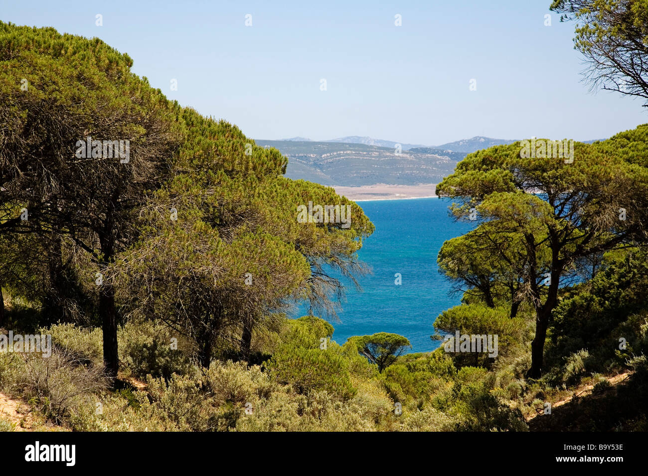 Natural Park of La Breña in Barbate Atlantic Ocean Costa de la Luz ...