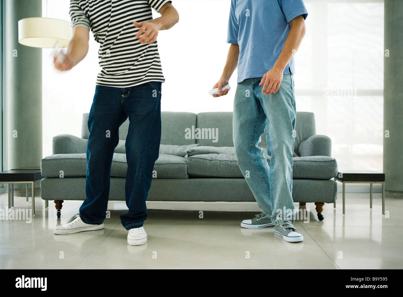 Two men playing video game with wireless controllers, cropped Stock ...