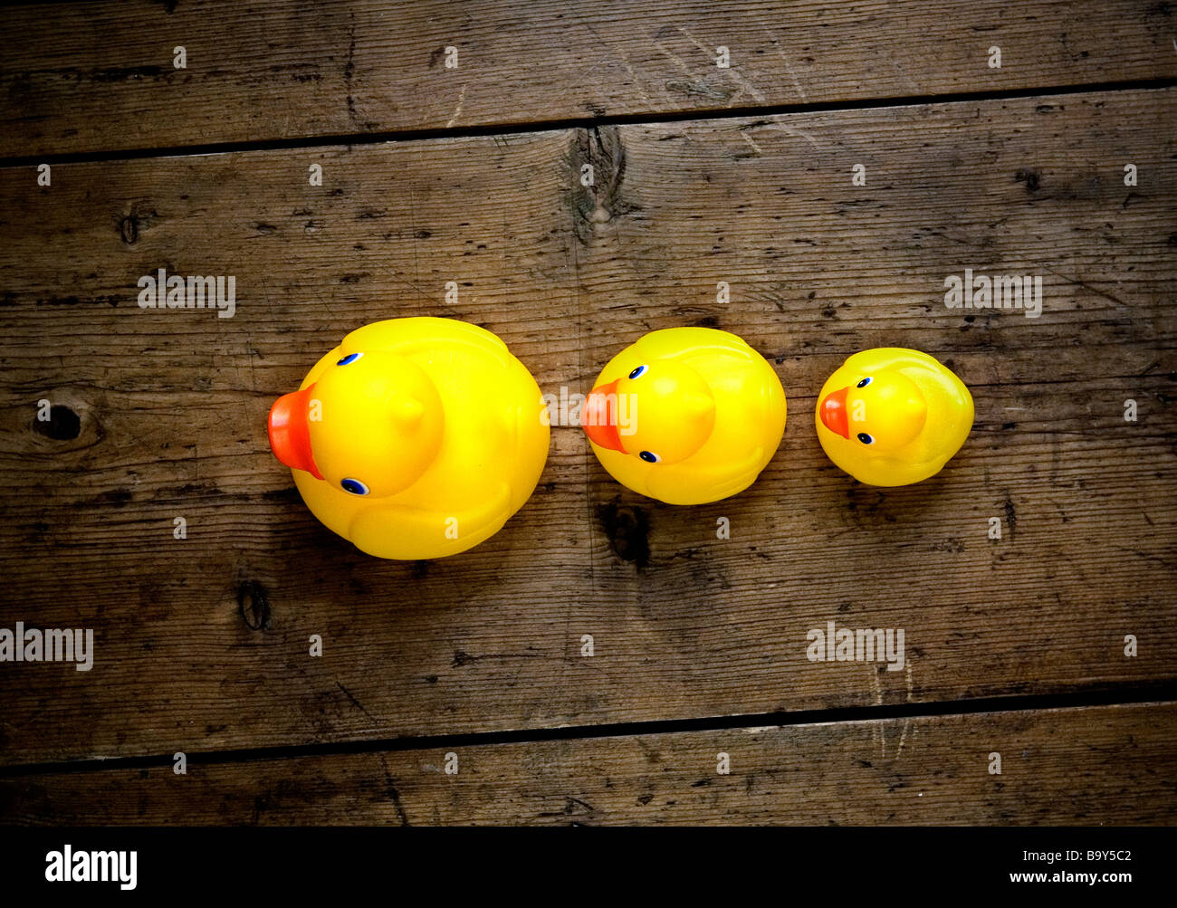 Rubber duck from above hi-res stock photography and images - Alamy