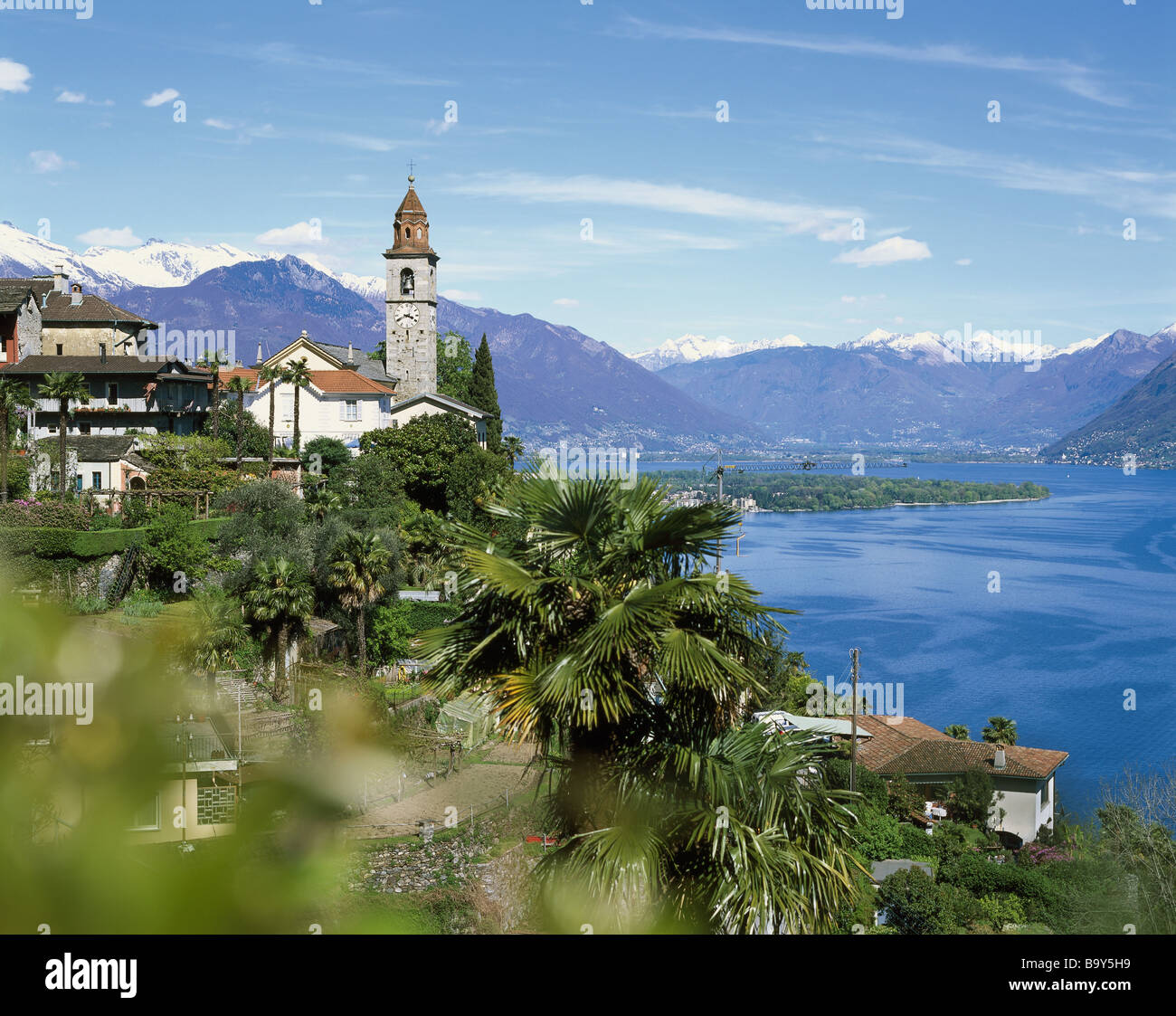 Pinci hi-res stock photography and images - Alamy