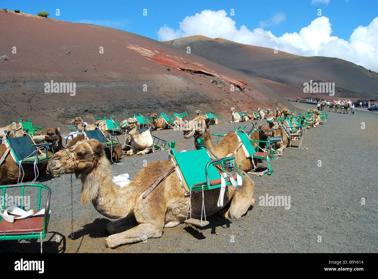 Fire mountain camels hi-res stock photography and images - Alamy