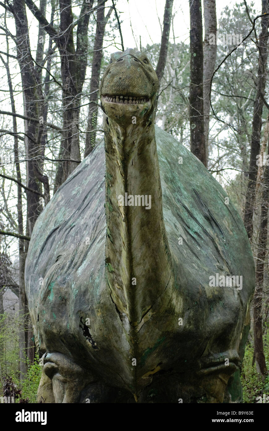 Brontosaurus head hi-res stock photography and images - Alamy