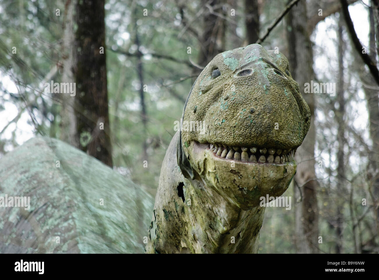 Brontosaurus Head High Resolution Stock Photography and Images - Alamy