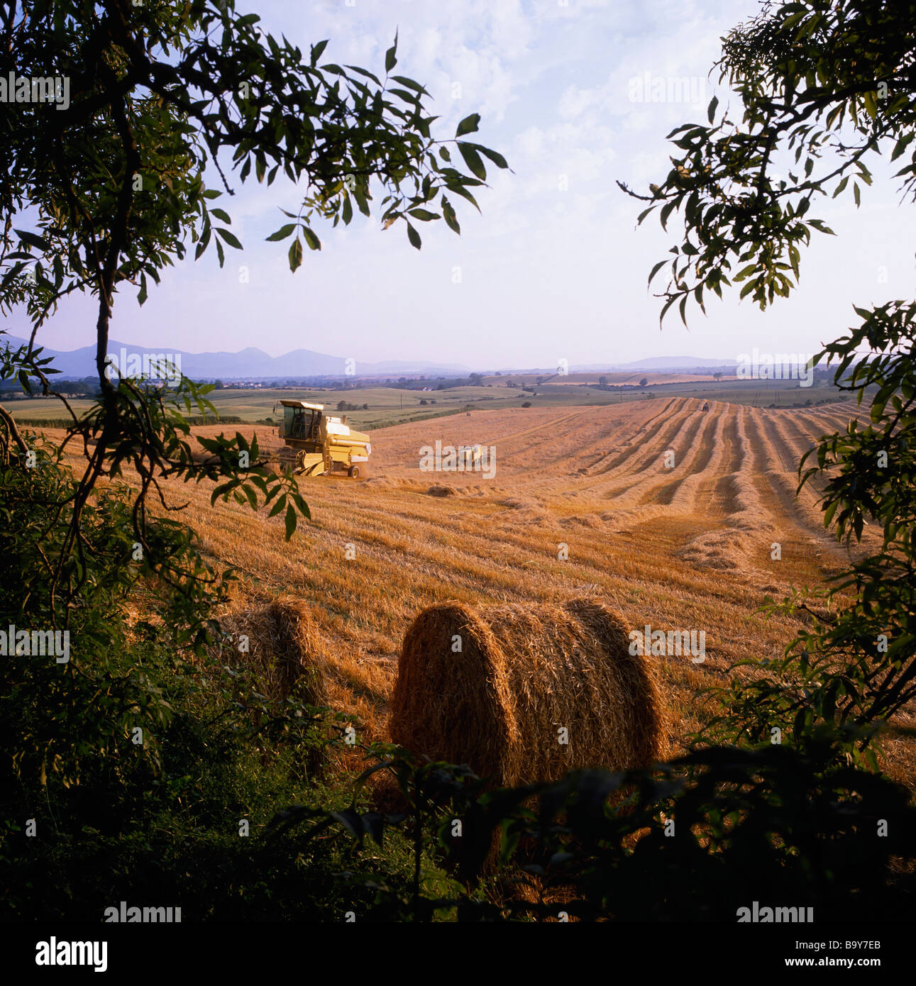 Combine harvest ireland hi-res stock photography and images - Alamy