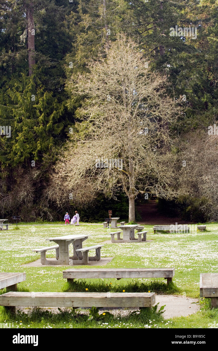 Picnic area at Penrose Point State Park, Washington Stock Photo - Alamy