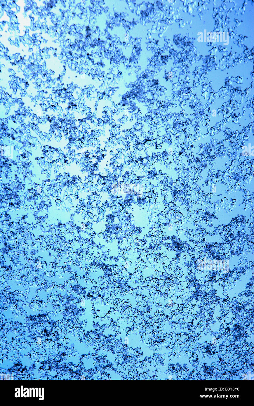 Ice pattern forming on window surface Stock Photo - Alamy